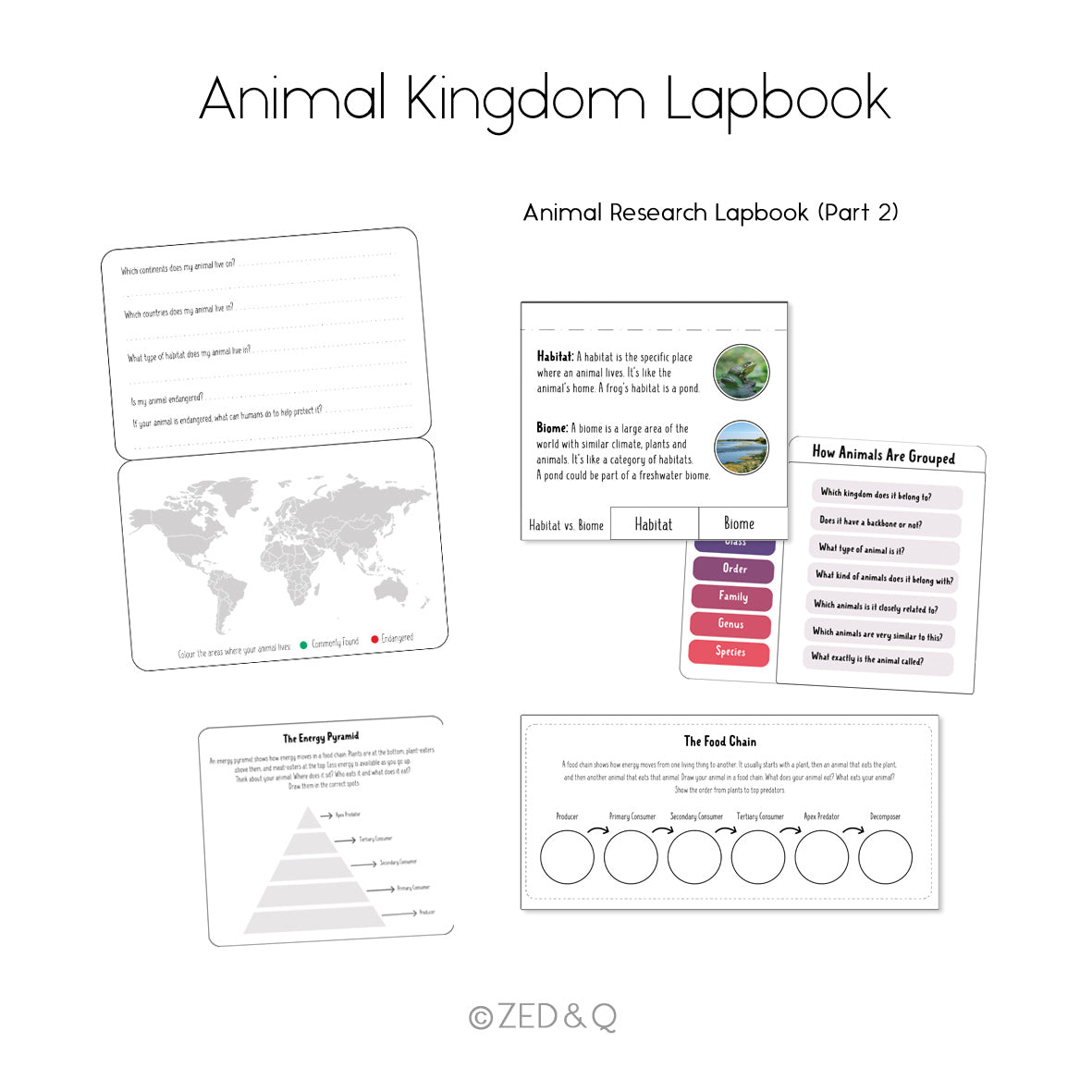 The Animal Kingdom Lapbook Unit – Zed&Q