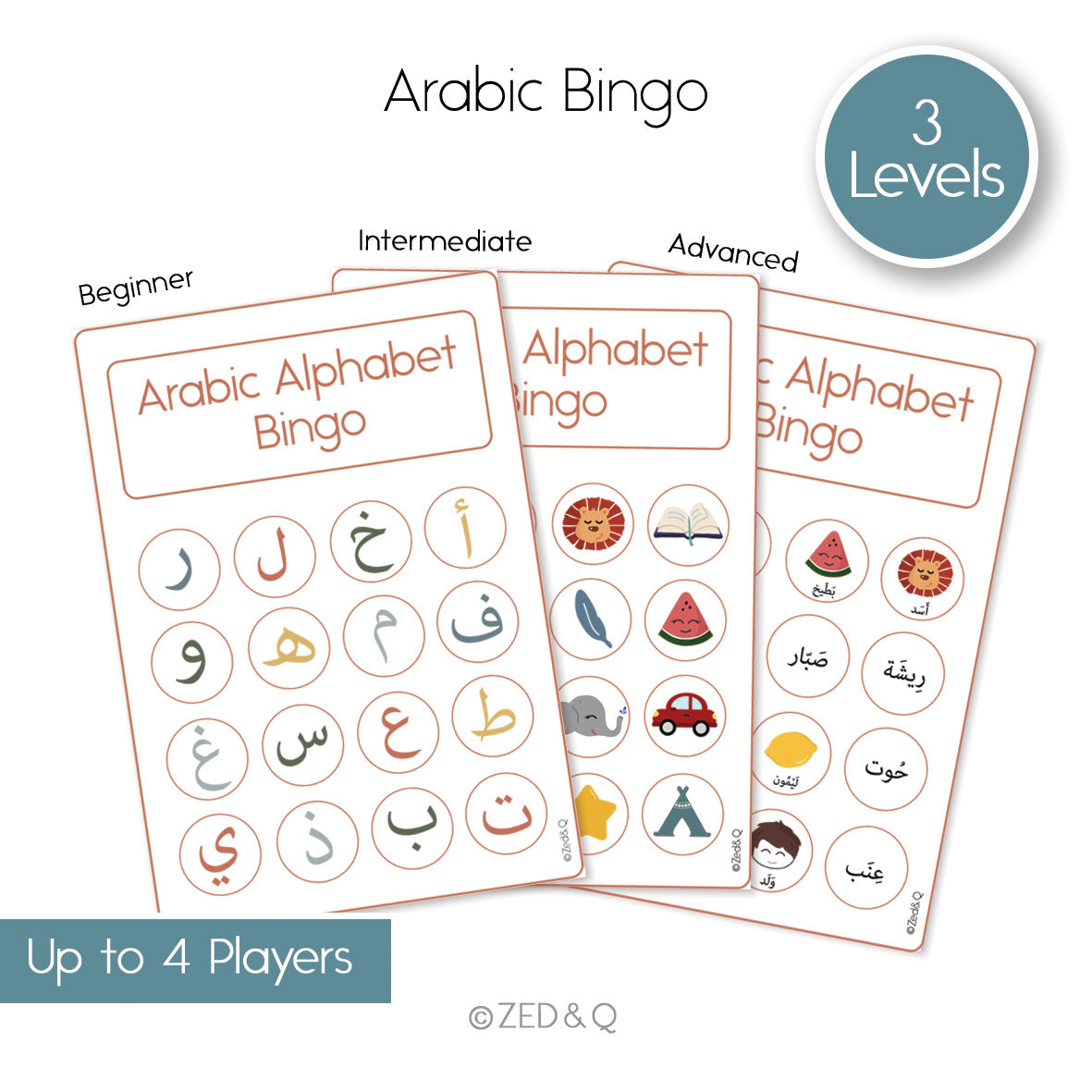 Arabic | Bingo Game – Zed&Q