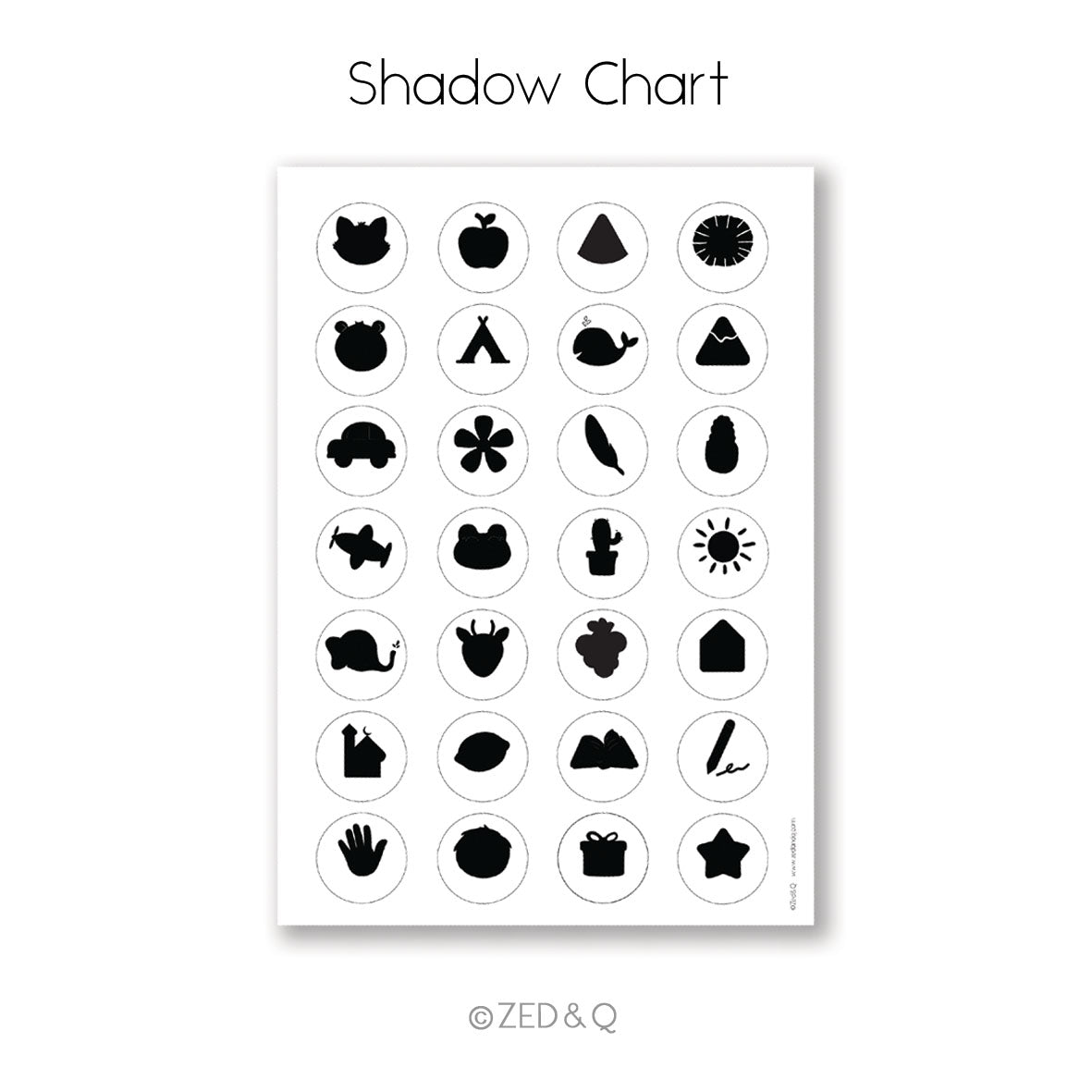Arabic | Shadow Chart – Zed&Q